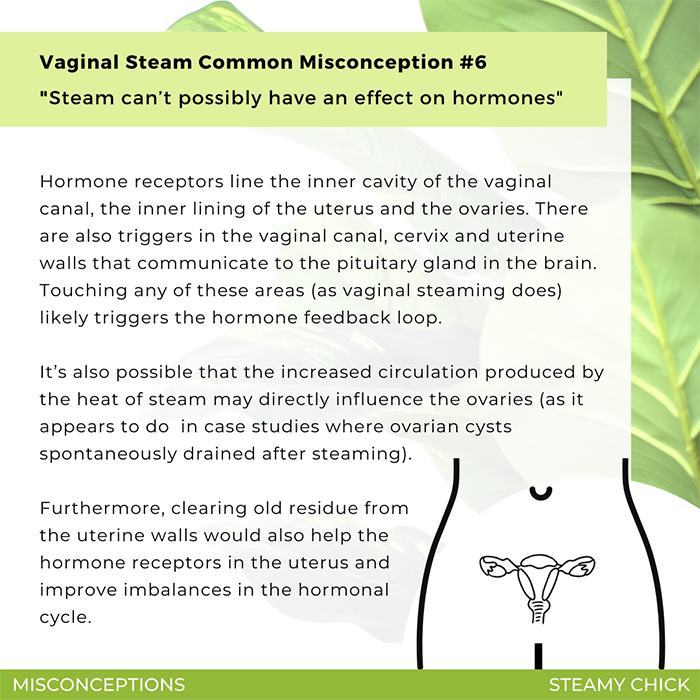 Vaginal Steam Common Misconception #6: Steam can’t possibly have an ...