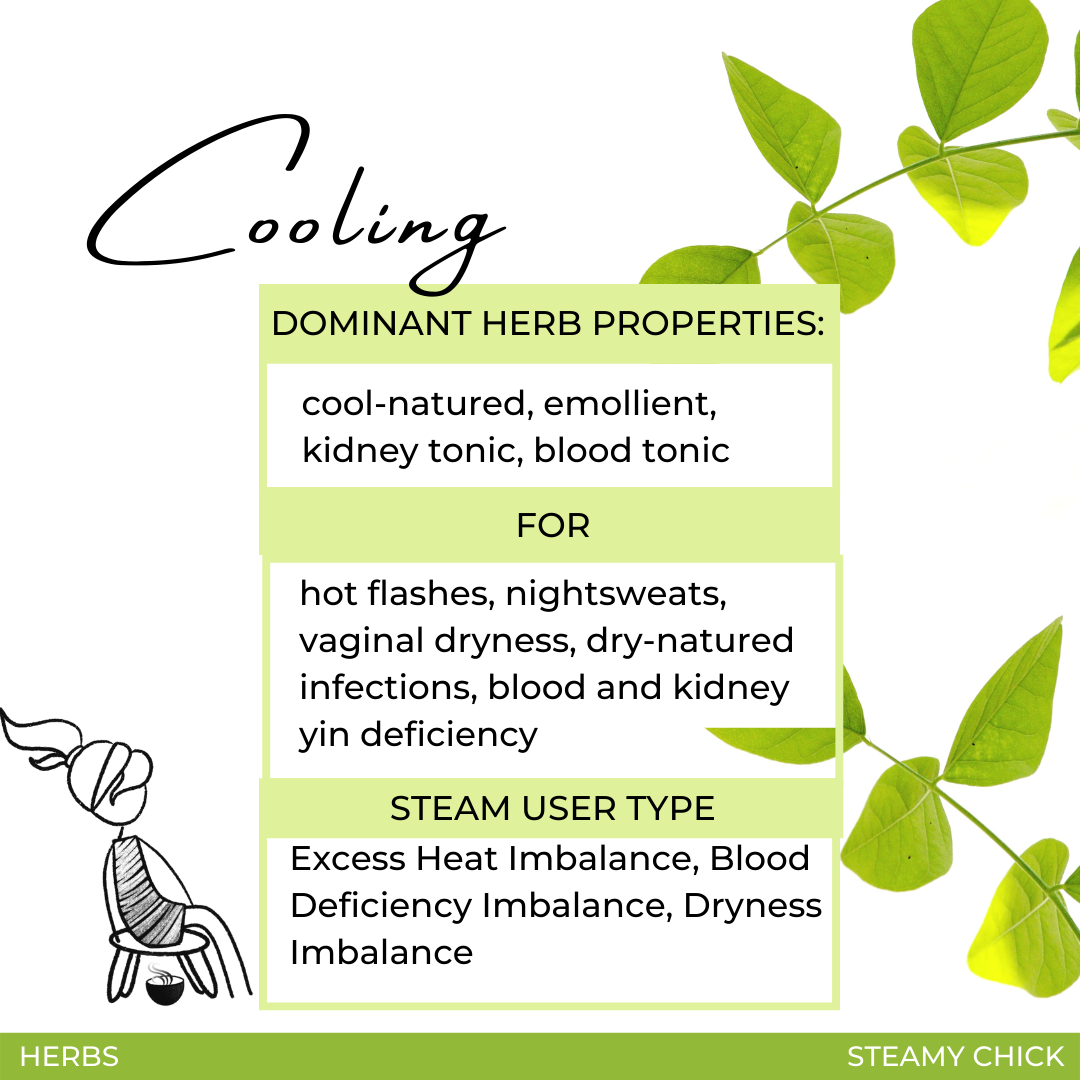 Learning About Vaginal Steam Herb Formulas – Steamy Chick Institute