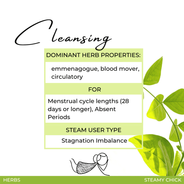 Learning About Vaginal Steam Herb Formulas – Steamy Chick Institute