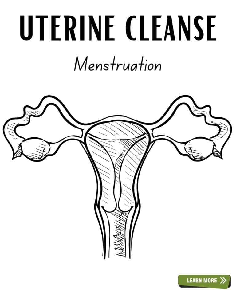 4-Day Uterus Cleanse – Steamy Chick Institute